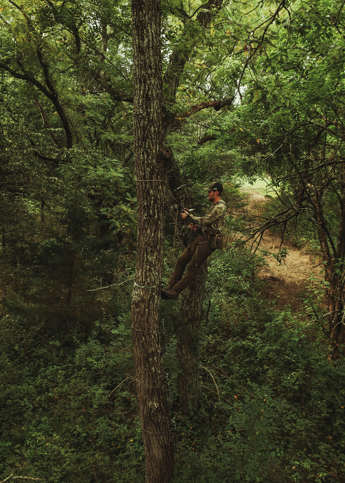 Tethrd | Join the Tethrd Nation