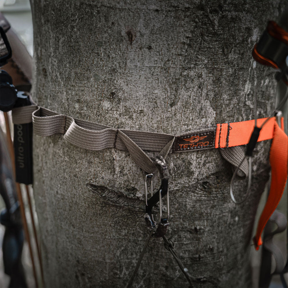 (Video) How to Set Up Your Saddle Hunting Tree