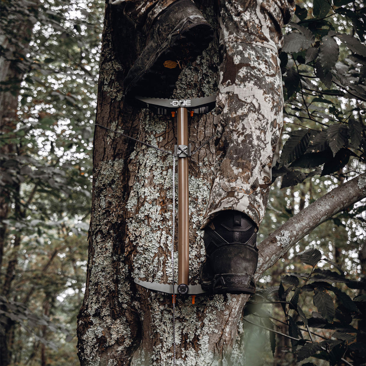 Tethrd | Join the Tethrd Nation