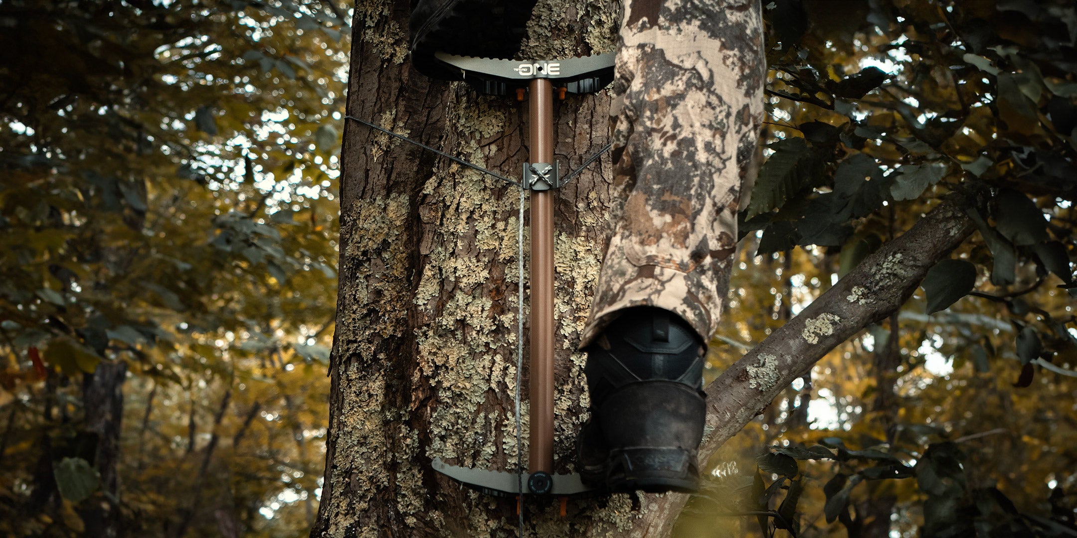 Tethrd | Join the Tethrd Nation