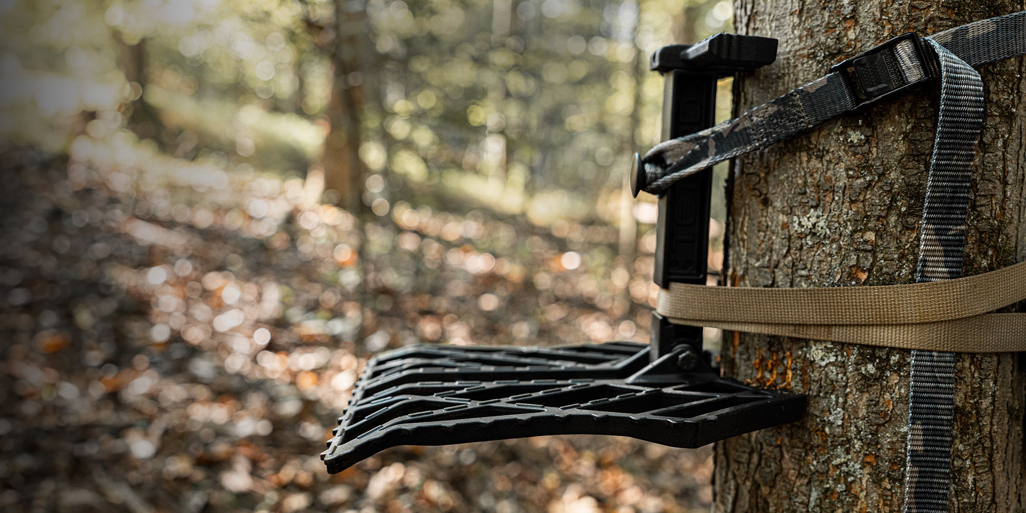 Tethrd | Join the Tethrd Nation